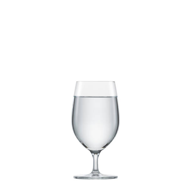 Schott Zwiesel Banquet 18.2 oz. Drinking Glass & Reviews | Perigold